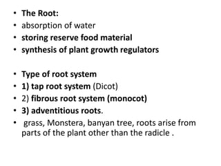 5_6222110437291327577.pptx