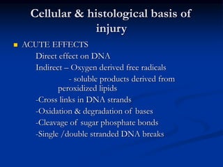 Radiation injury and it's details PowerPoint.ppt