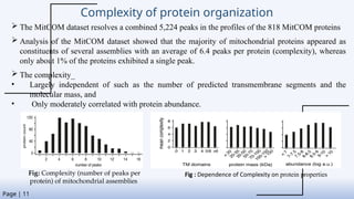 Mitochondria and its protein complexes .pptx
