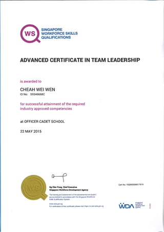Advanced cert in team leadership (OCS 2015) | PDF