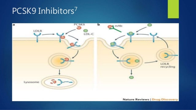 PCSK9 Inhibitors PP