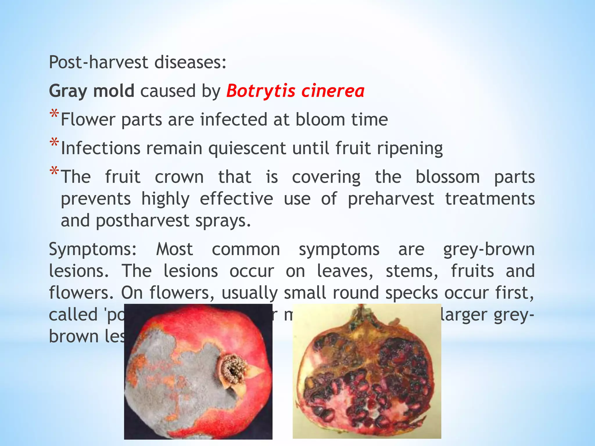 Integrated disease of pomegranate | PPTX