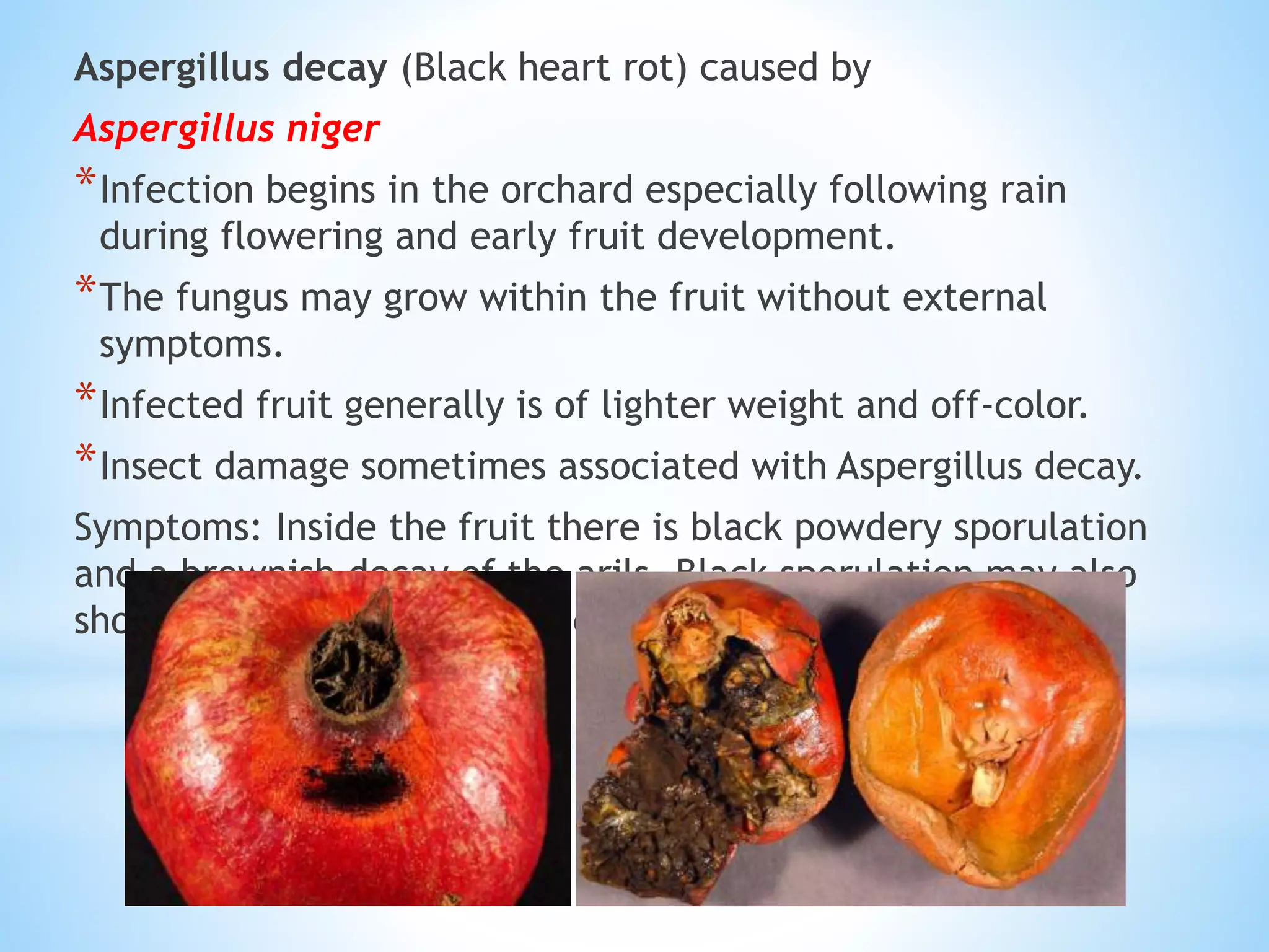 Integrated disease of pomegranate | PPTX