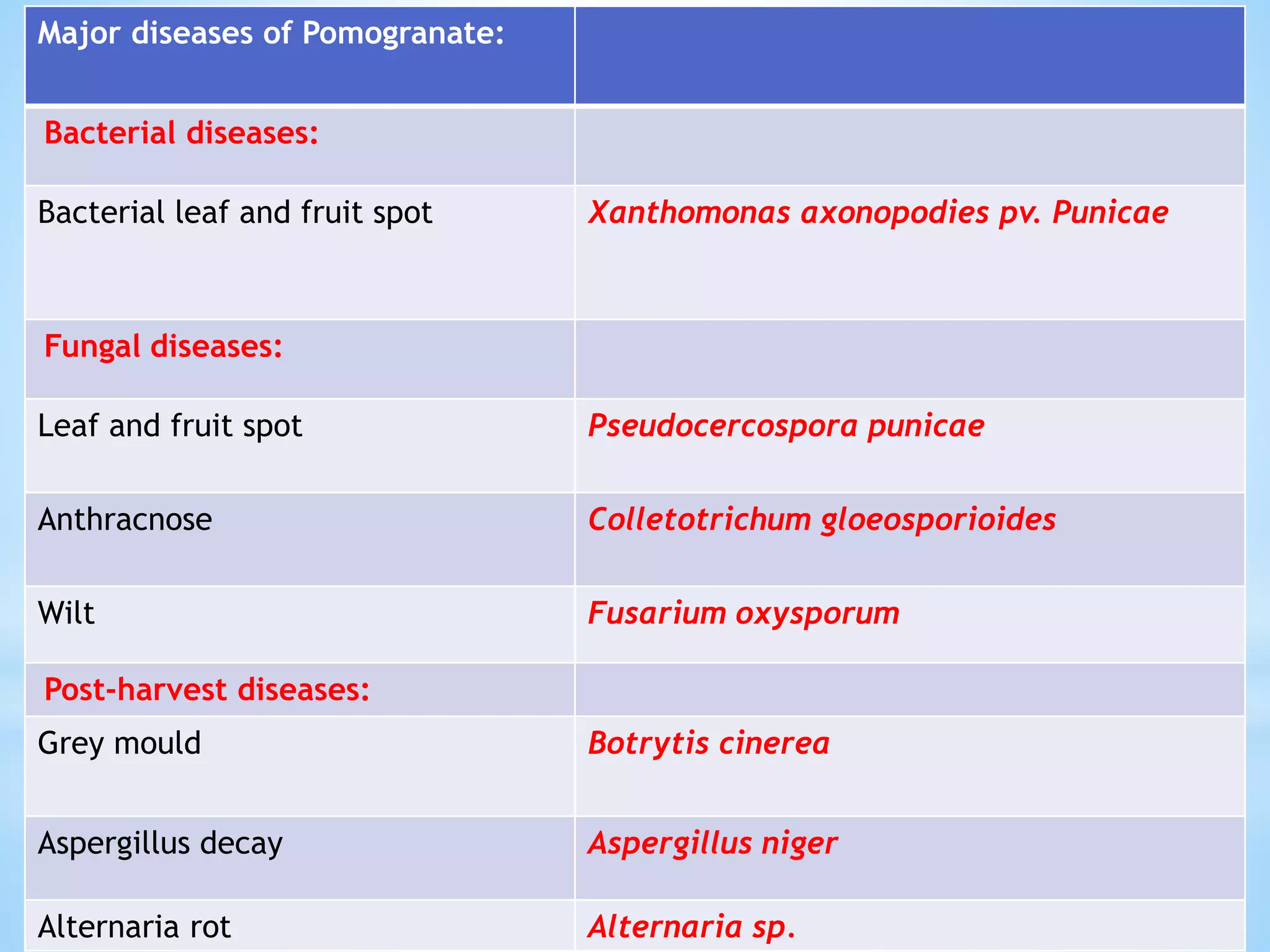 Integrated disease of pomegranate | PPTX