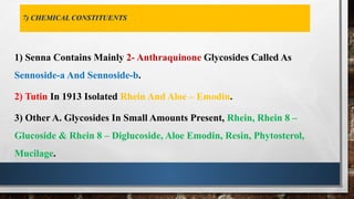 Senna Plant in syllabus of pharmacy, subject pharmacognosy. | PPTX