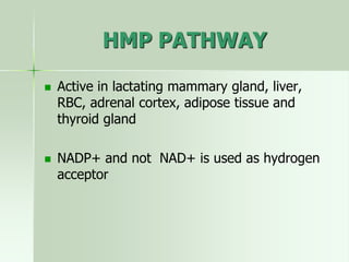 563-HMP_SHUNT_PATHWAY.ppt