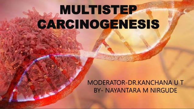 Multistep Carcinogenesis | PPTX | Cancer | Diseases and Conditions