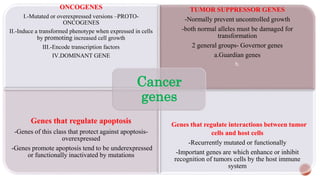 Multistep Carcinogenesis | PPTX