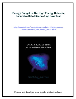 Energy Budget In The High Energy Universe Katsuhiko Sato Hisano Junji | PDF