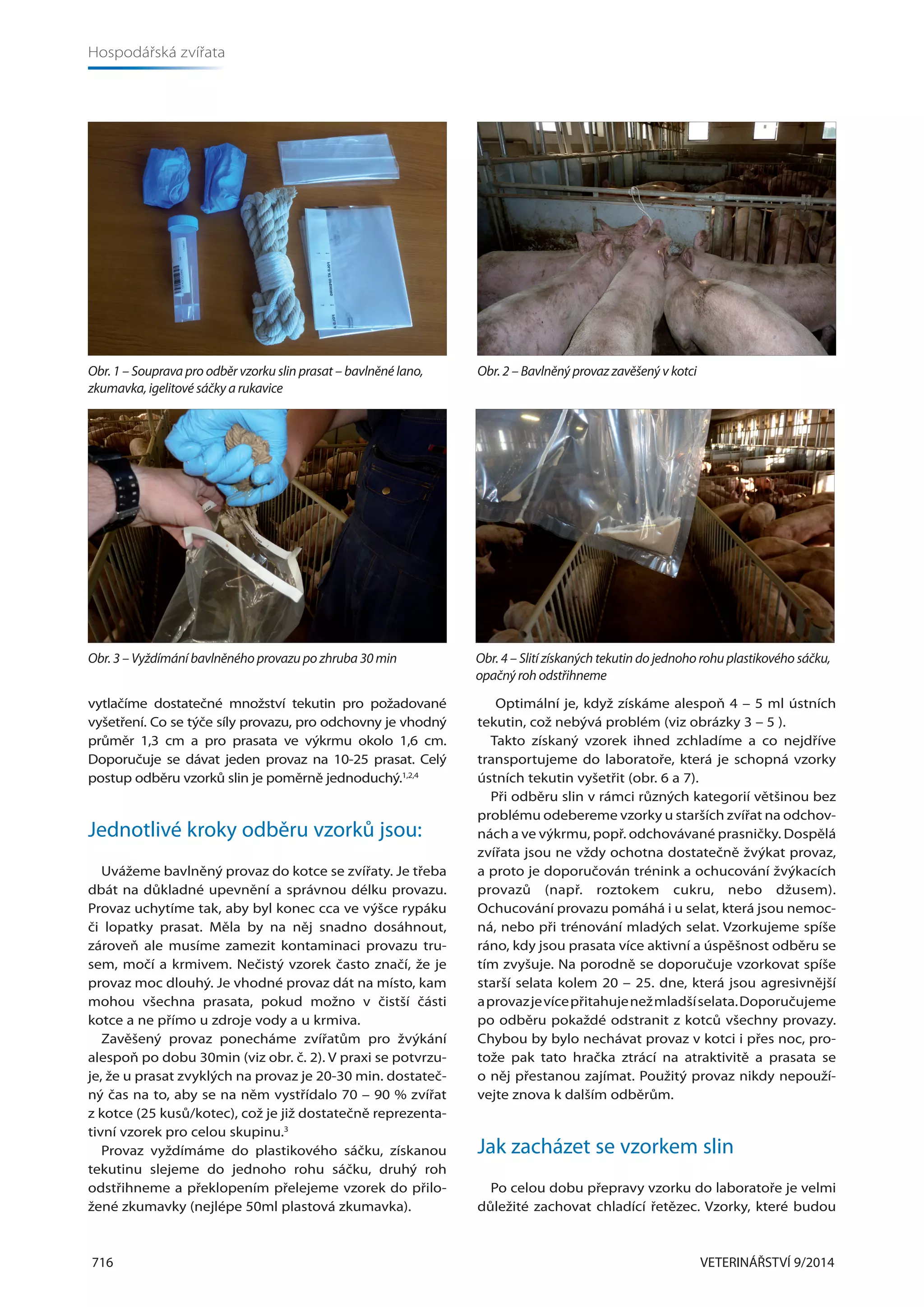 Sliny a diagnostika | PDF