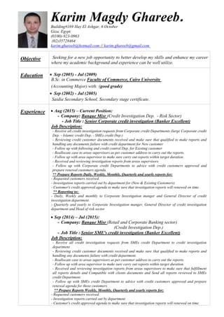 Karim Magdy Ghareeb (CV) - Photo | PDF | Business Banking & Finance | Business