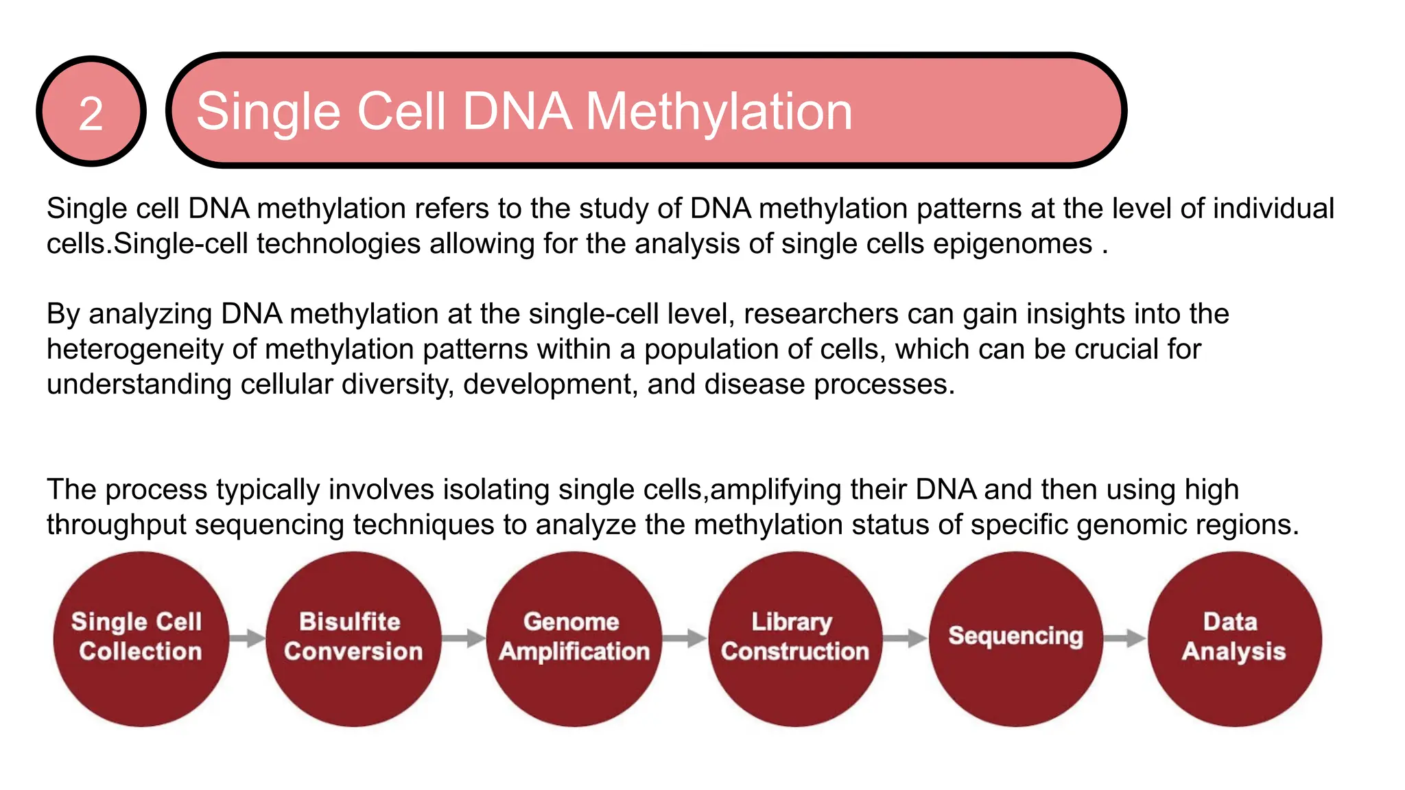 Single cell DNA analysis and its importance | PPT