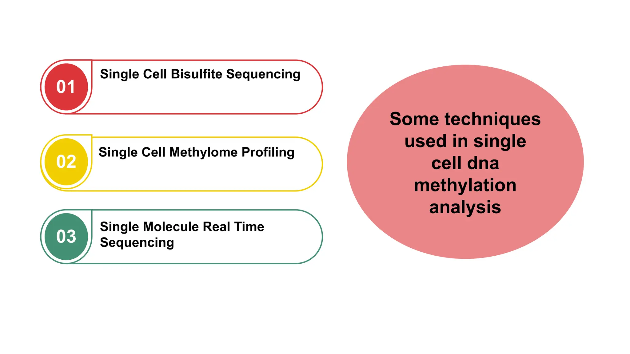 Single cell DNA analysis and its importance | PPT