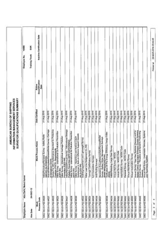 ABS and DNV Internal Qualification Records | PDF