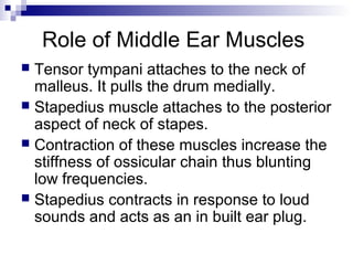 56514243 physiology-of-hearing-balance | PPT
