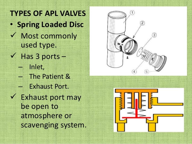 565855 634221219170496250