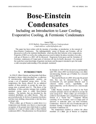 BEC TERM PAPER - FLIERL | PDF