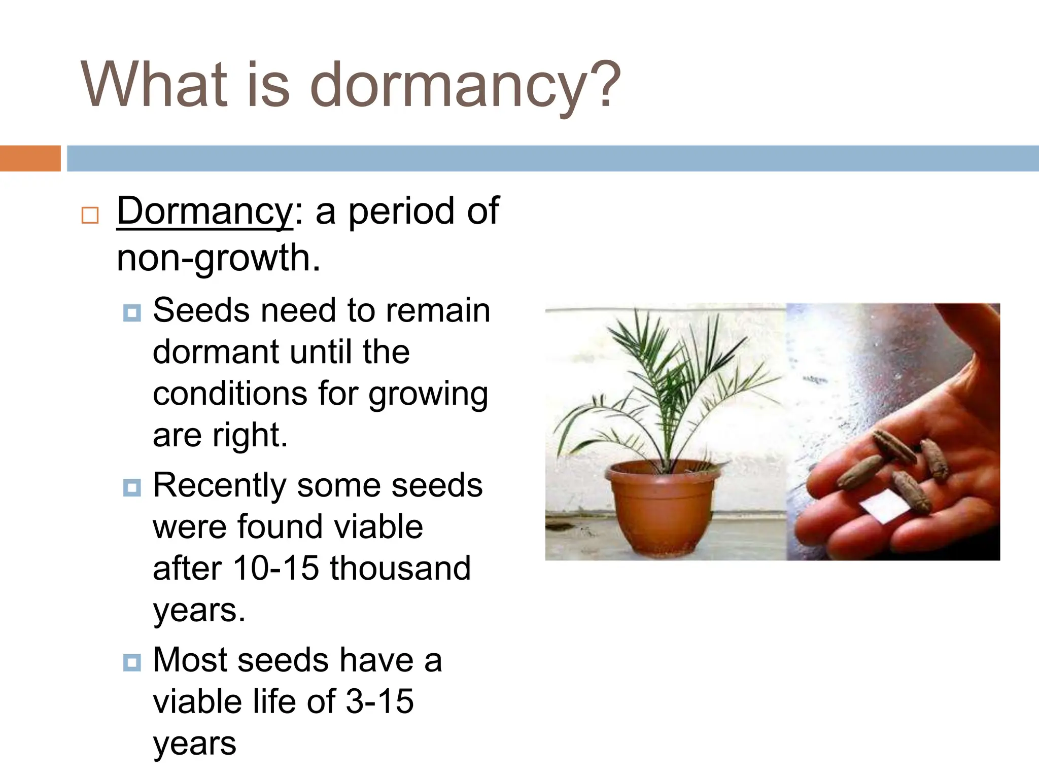 Parts of a seed in its Germination a PPT | PPT