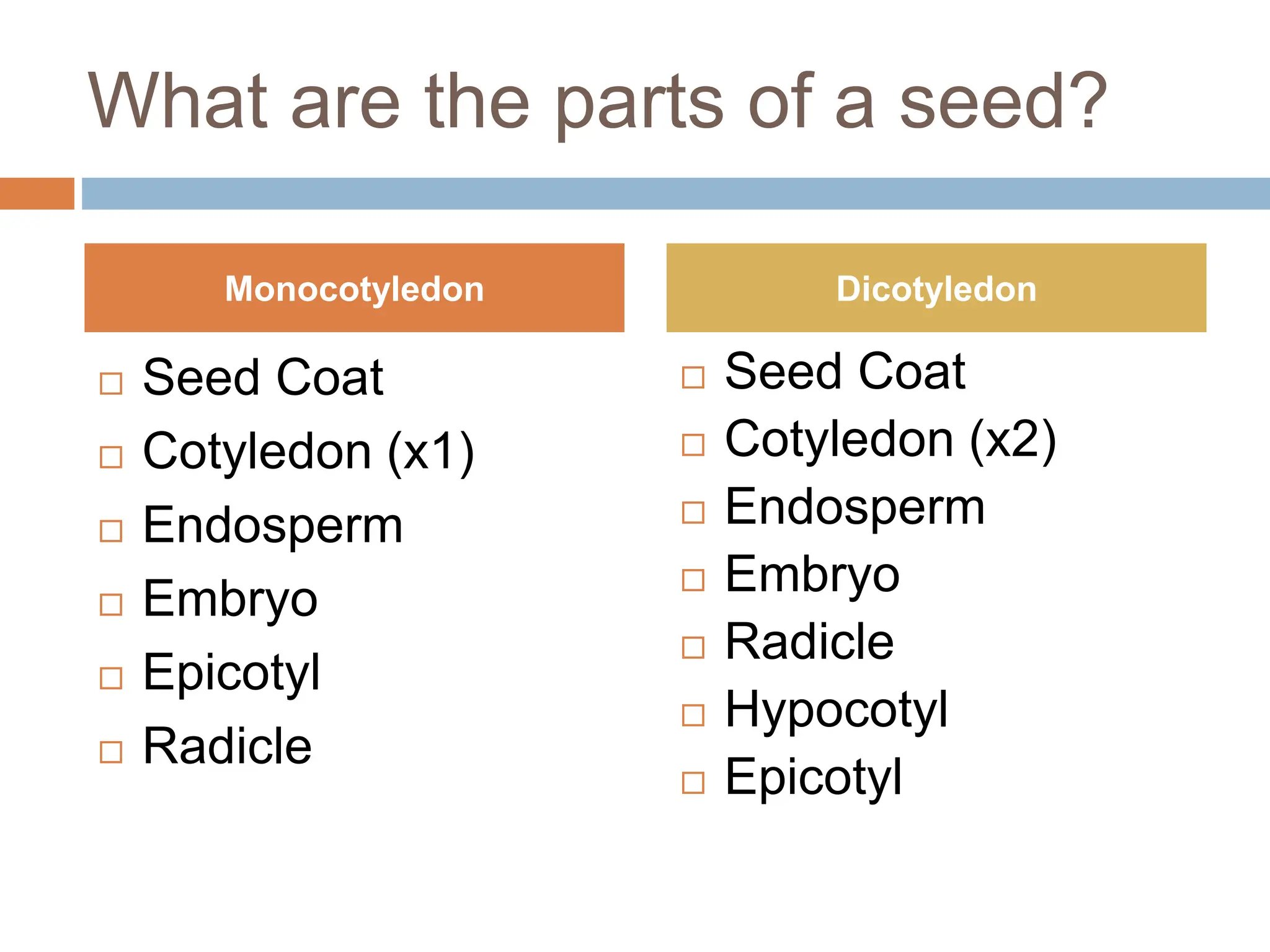 Parts of a seed in its Germination a PPT | PPT