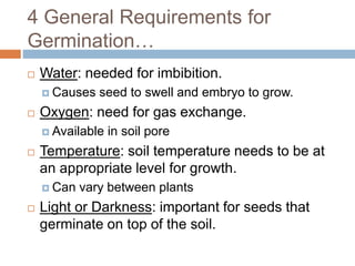 Parts of a seed in its Germination a PPT | PPT