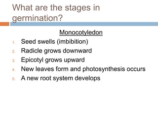 Parts of a seed in its Germination a PPT | PPT