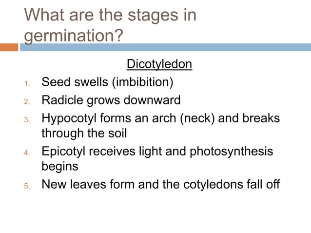 Parts of a seed in its Germination a PPT | PPT