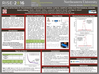 RISE Poster Final | PPT