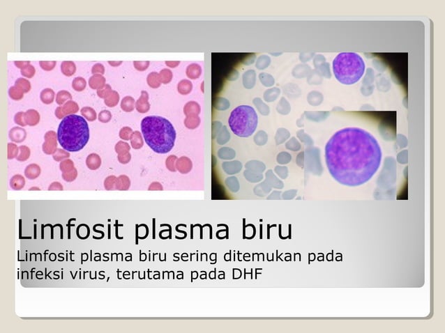 Leukosit | PPT
