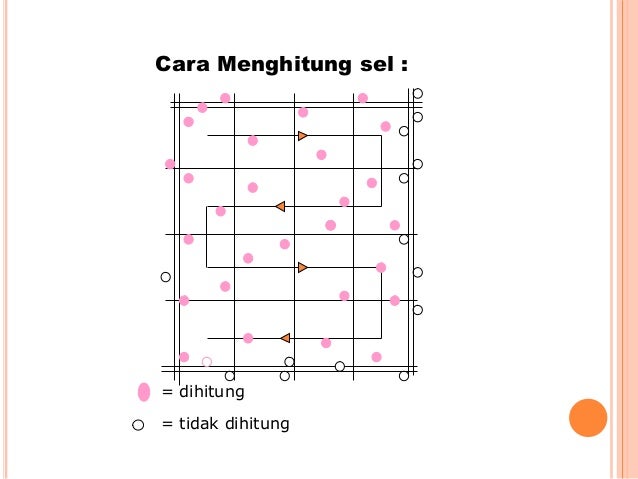 47+ Rumus Kamar Hitung Pictures