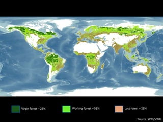 Restoration of the World's Degraded Forest Landscapes | PDF