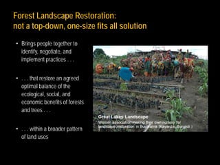 Restoration of the World's Degraded Forest Landscapes | PDF