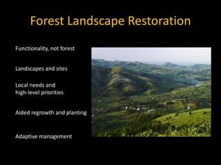 Restoration of the World's Degraded Forest Landscapes | PDF