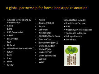 Restoration of the World's Degraded Forest Landscapes | PDF