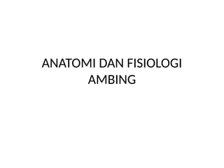 5_6_7 ANATOMI DAN FISIOLOGI AMBING sapi.pptx