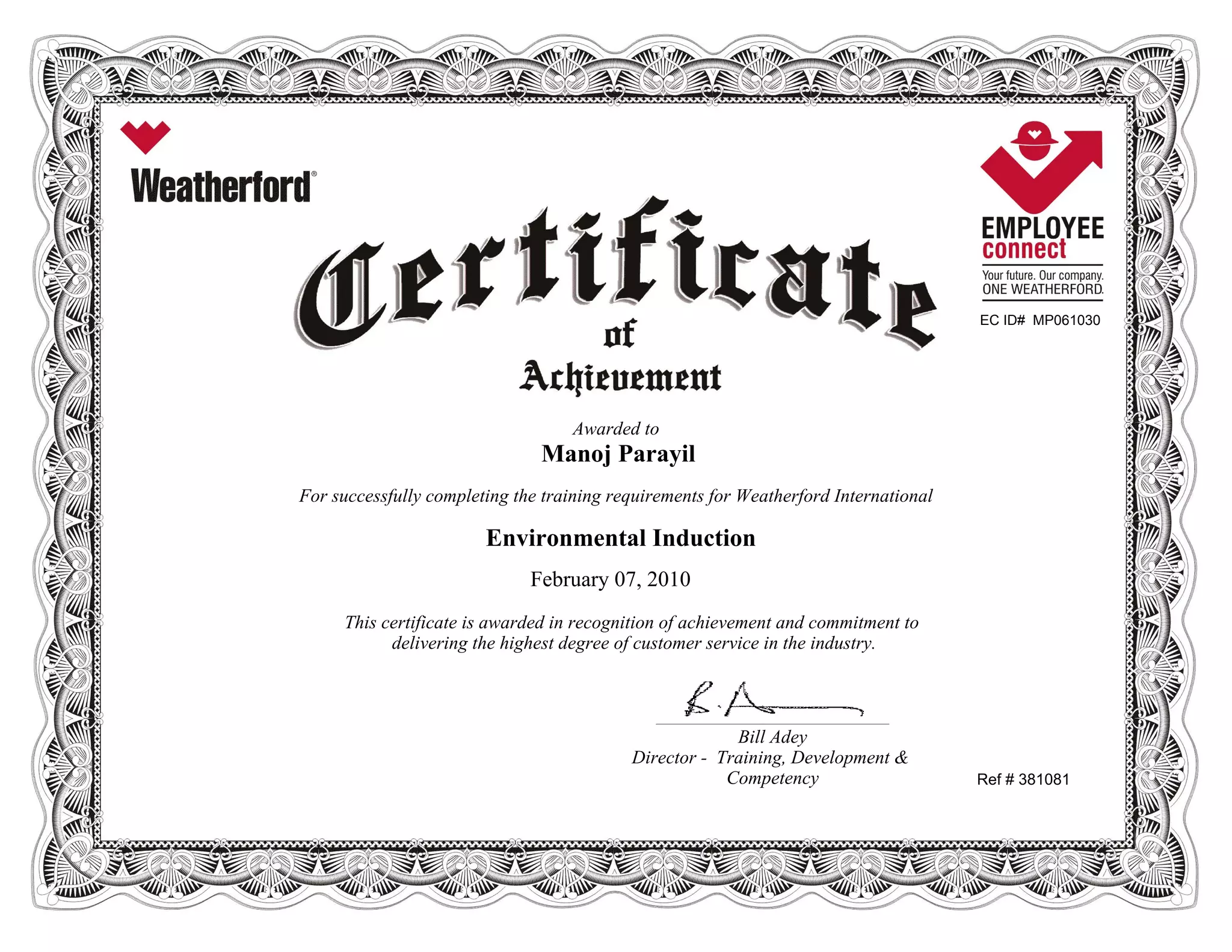 Environmental Induction | PDF