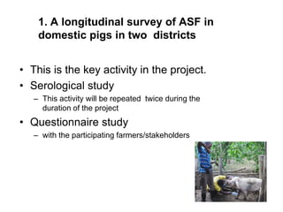 Impact of Emerging Transboundary Diseases, using African Swine Fever in ...