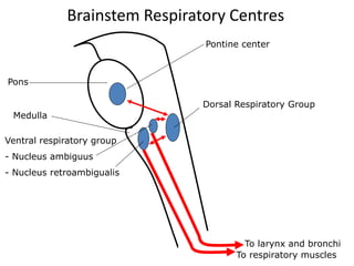 677556.ppt | Lung and Respiratory Health | Diseases and Conditions