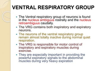 677556.ppt | Lung and Respiratory Health | Diseases and Conditions