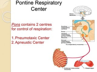 677556.ppt | Lung and Respiratory Health | Diseases and Conditions
