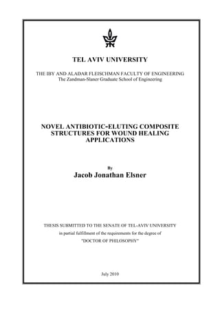 Thesis | PDF