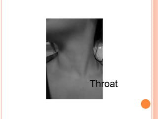 Nose_ Mouth_ and Throat--Physical Assessment--Power Point | PPTX