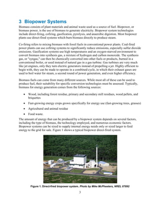 Biomass vs waste to energy feasibility .pdf