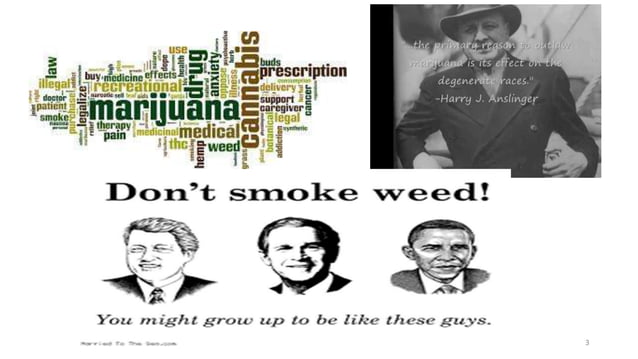 Emmie Cannabis Class PPT 11.08.2016