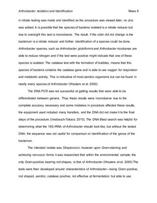 Arthrobacter | PDF