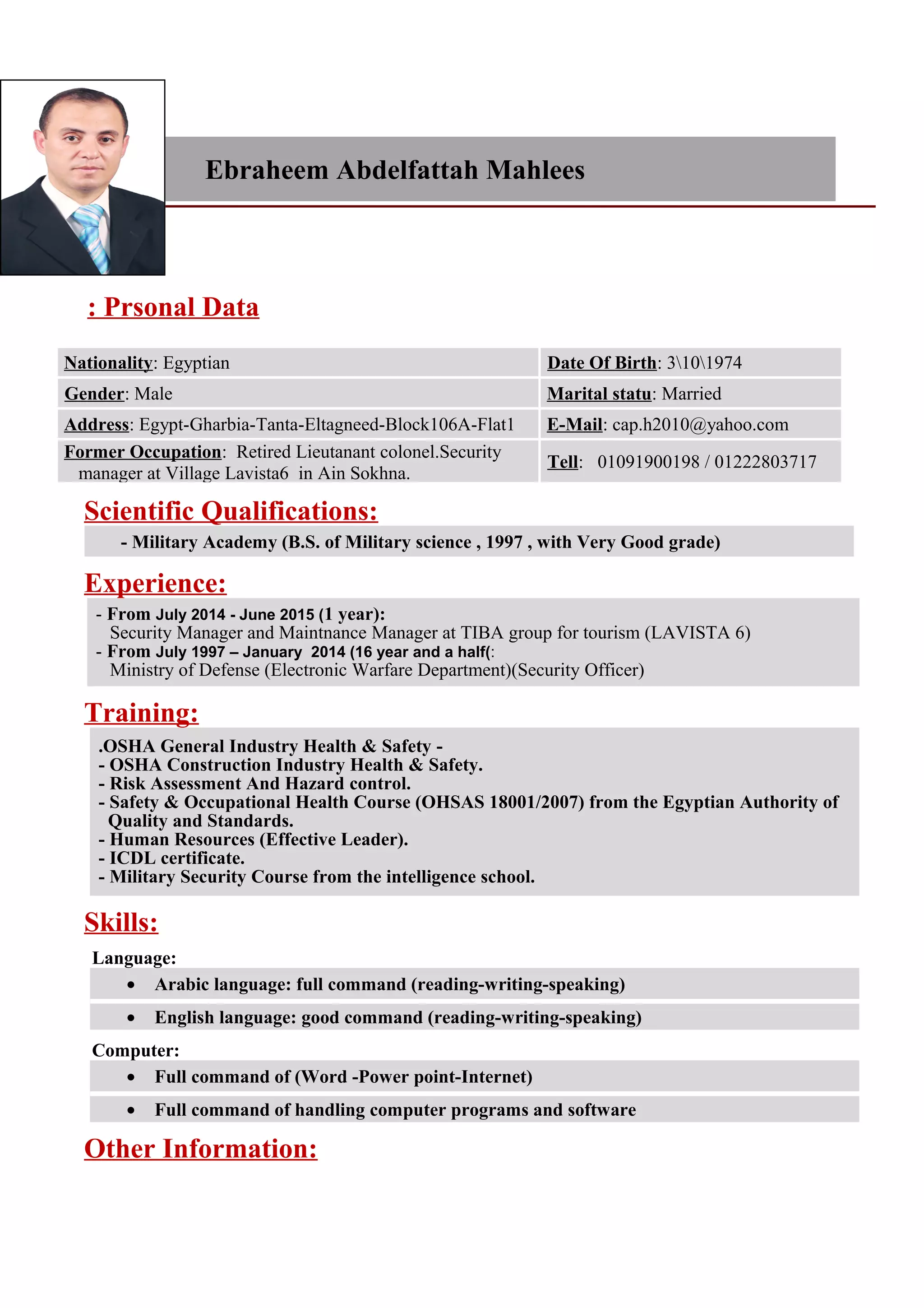 CV English | PDF