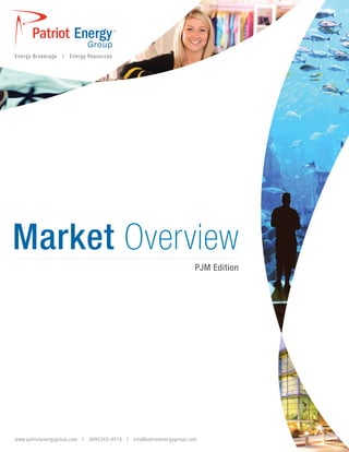 PJM Market Overview | PDF