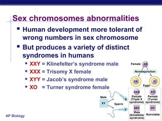 56 ch15chromosomalabnormalities2008 | PPT
