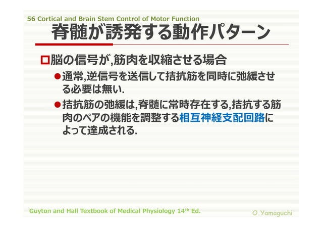 56 cortical and brain stem control of motror function | PDF
