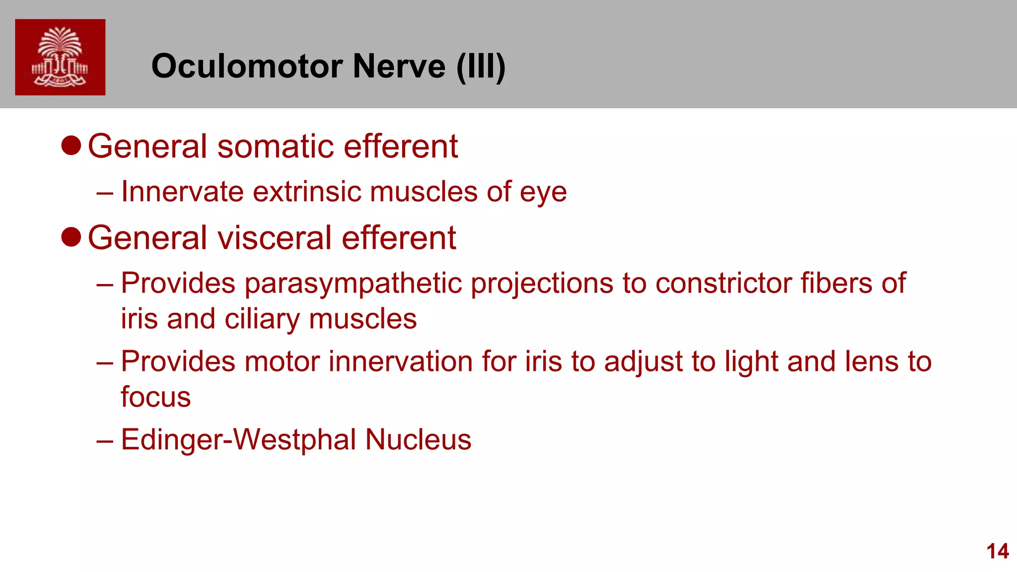 5 6 cranial nerves.pptx