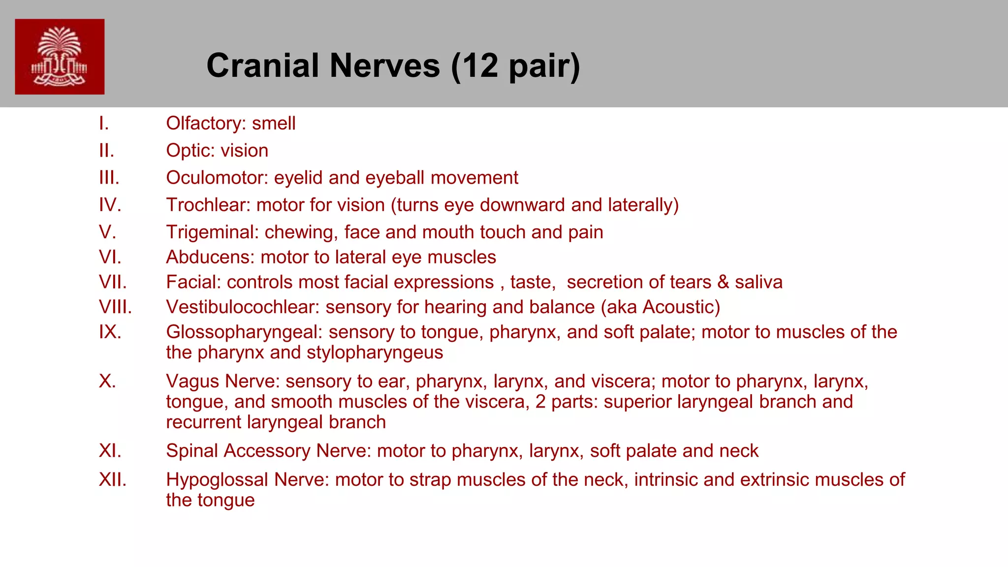 5 6 cranial nerves.pptx